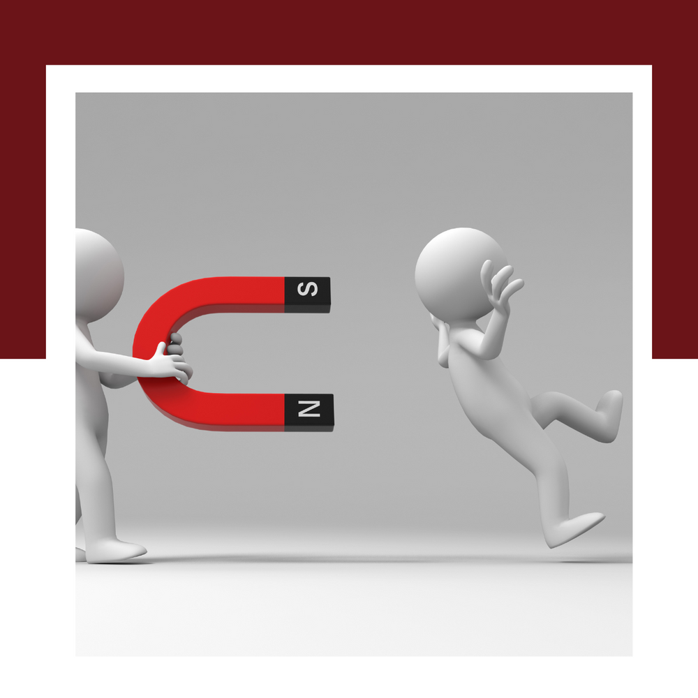 Magnet Store – Magnet Store South Africa